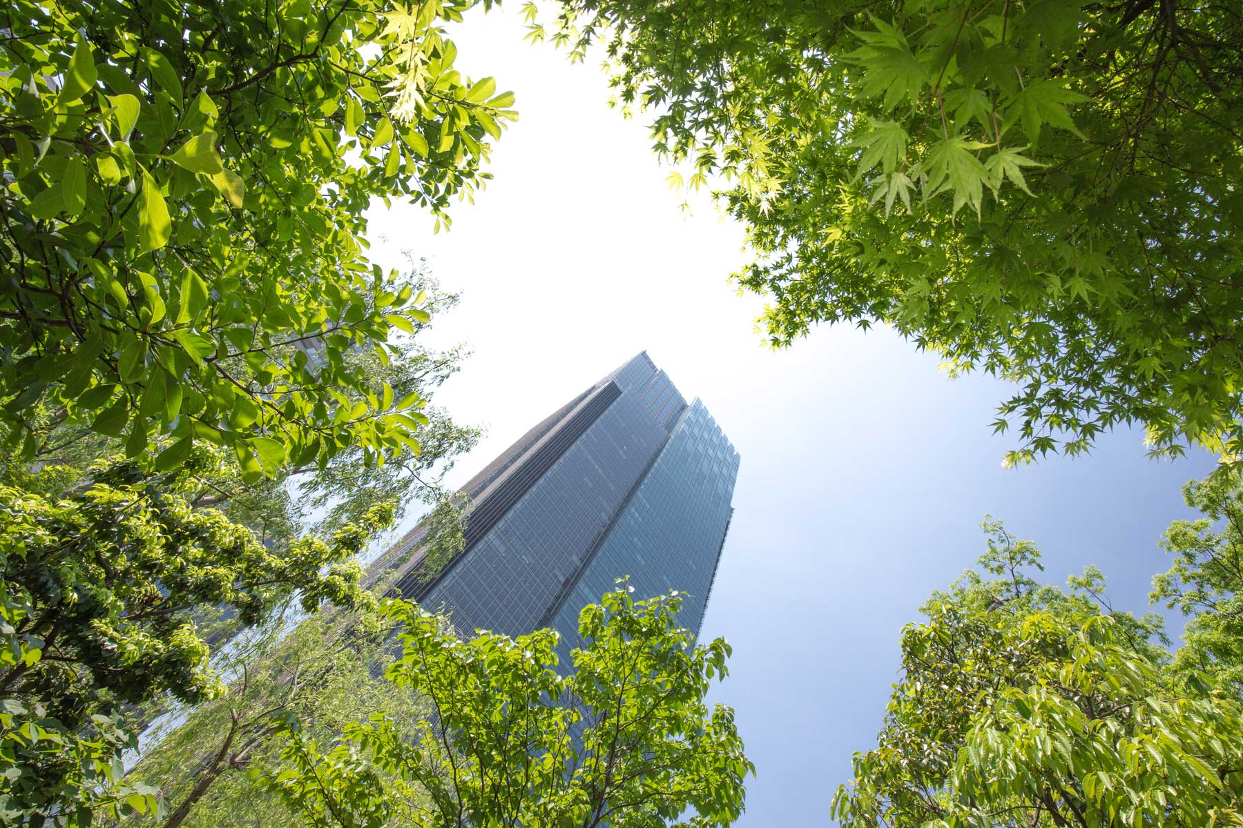 Accompagnement à la certification HQE Exploitation - Quardina